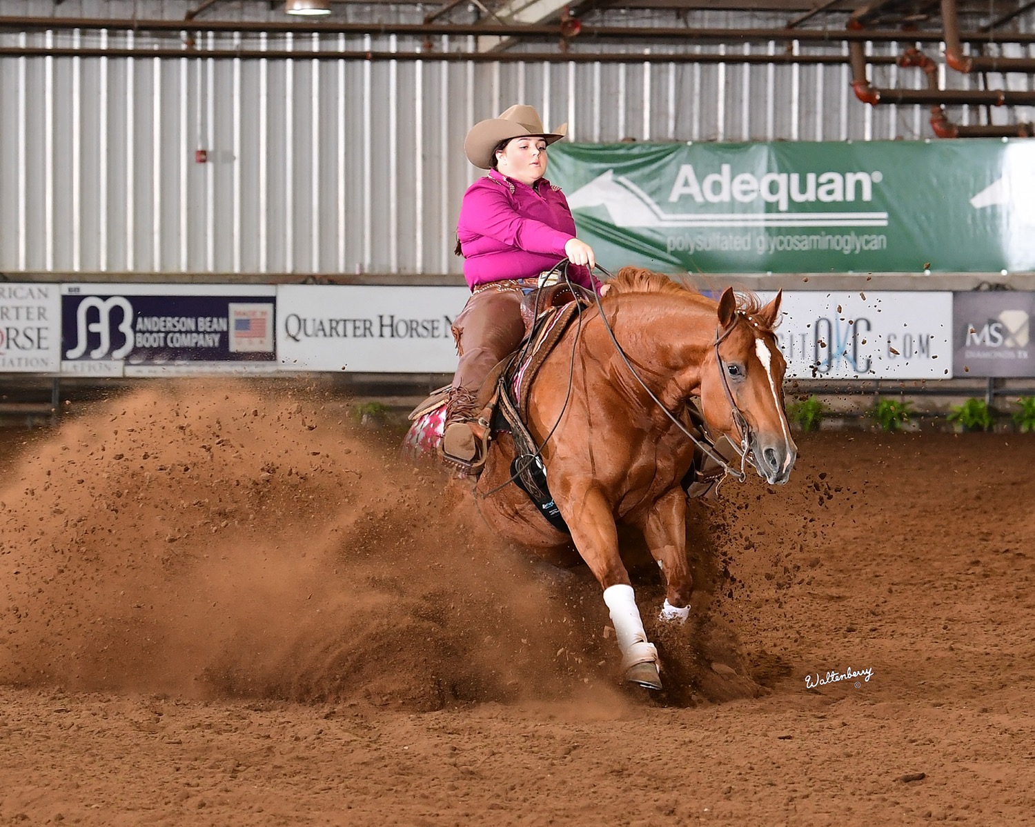 Home of Mark How Performance Horses NRHA Professional and Judge